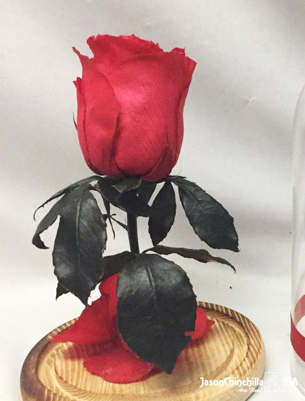 ESP1001 - Rosa Eterna. Rosa encapsulada (rosa conservada)